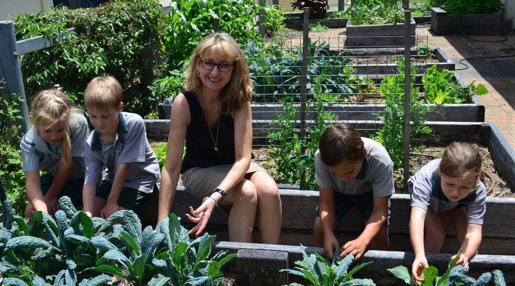 Improved primary science teaching at no extra cost | Stories of ...